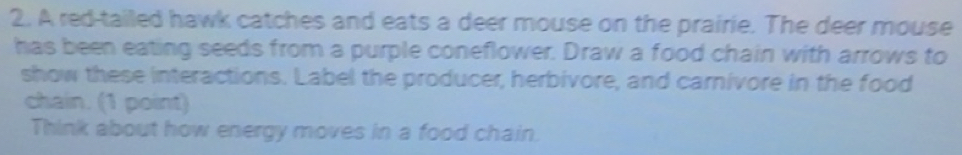 Solved: A red-tailed hawk catches and eats a deer mouse on the prairie ...