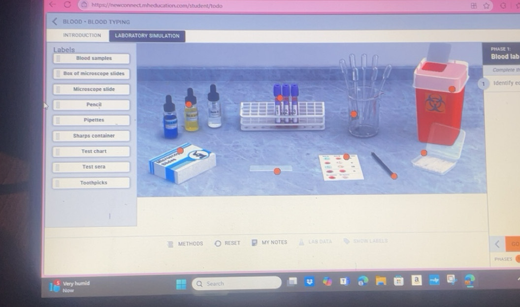 Solved: a BLOOD ·BLOOD TYPING INTRODUCTION LABORATORY SIMULATION Labels ...