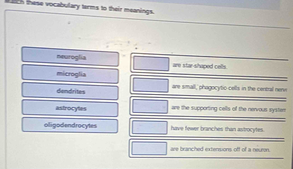 Solved: Ltch these vocabulary terms to their meanings. neuroglia are ...