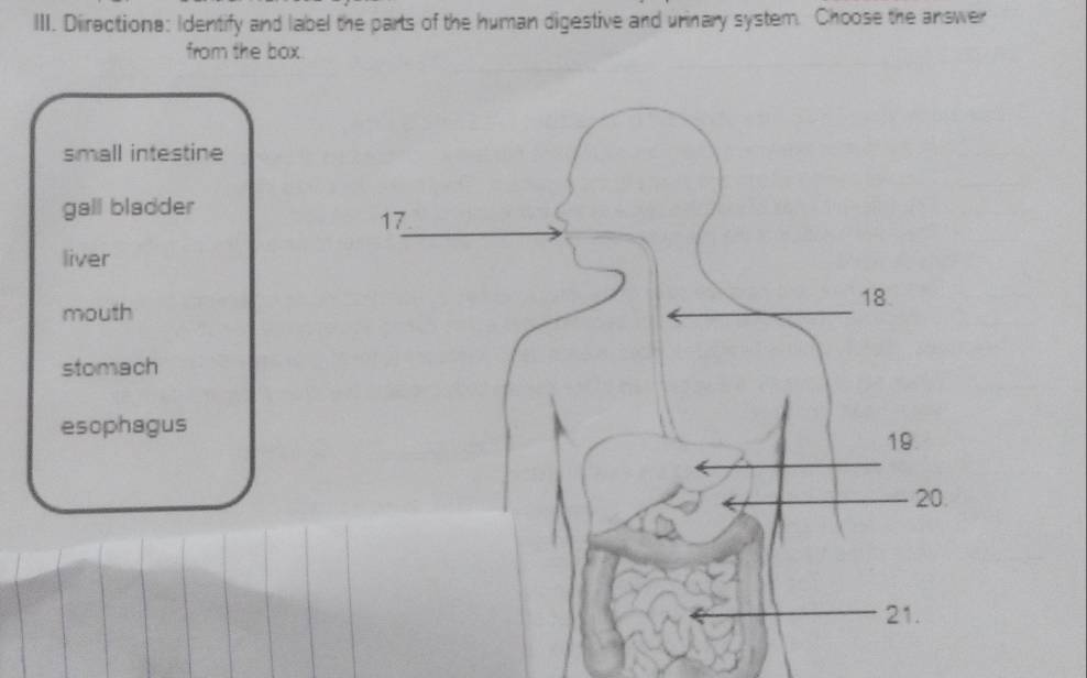 Solved: Diiractiona: Identify and label the parts of the human ...