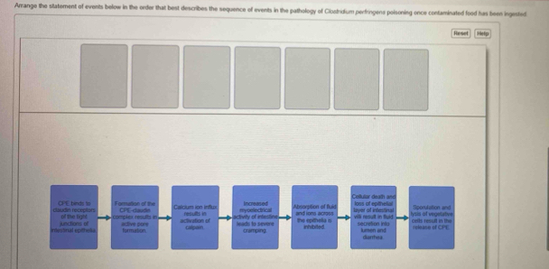 Solved: Arrange the statement of events below in the order that best ...