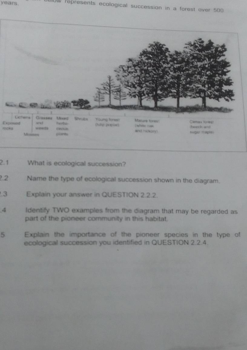 Gelöst:years. OW represents ecological succession in a forest over 500 ...