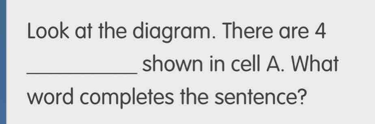 Solved: Look at the diagram. There are 4 _shown in cell A. What word ...