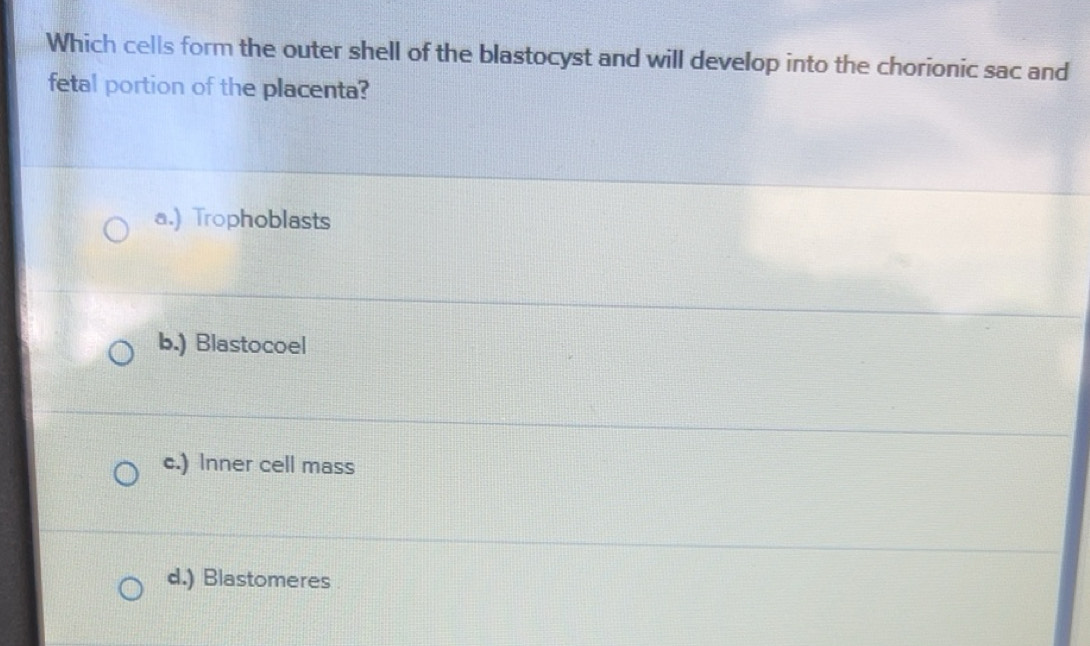 Solved: Which cells form the outer shell of the blastocyst and will ...