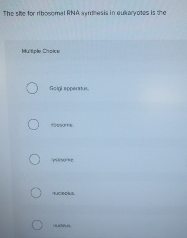 Solved: The site for ribosomal RNA synthesis in eukaryotes is the ...