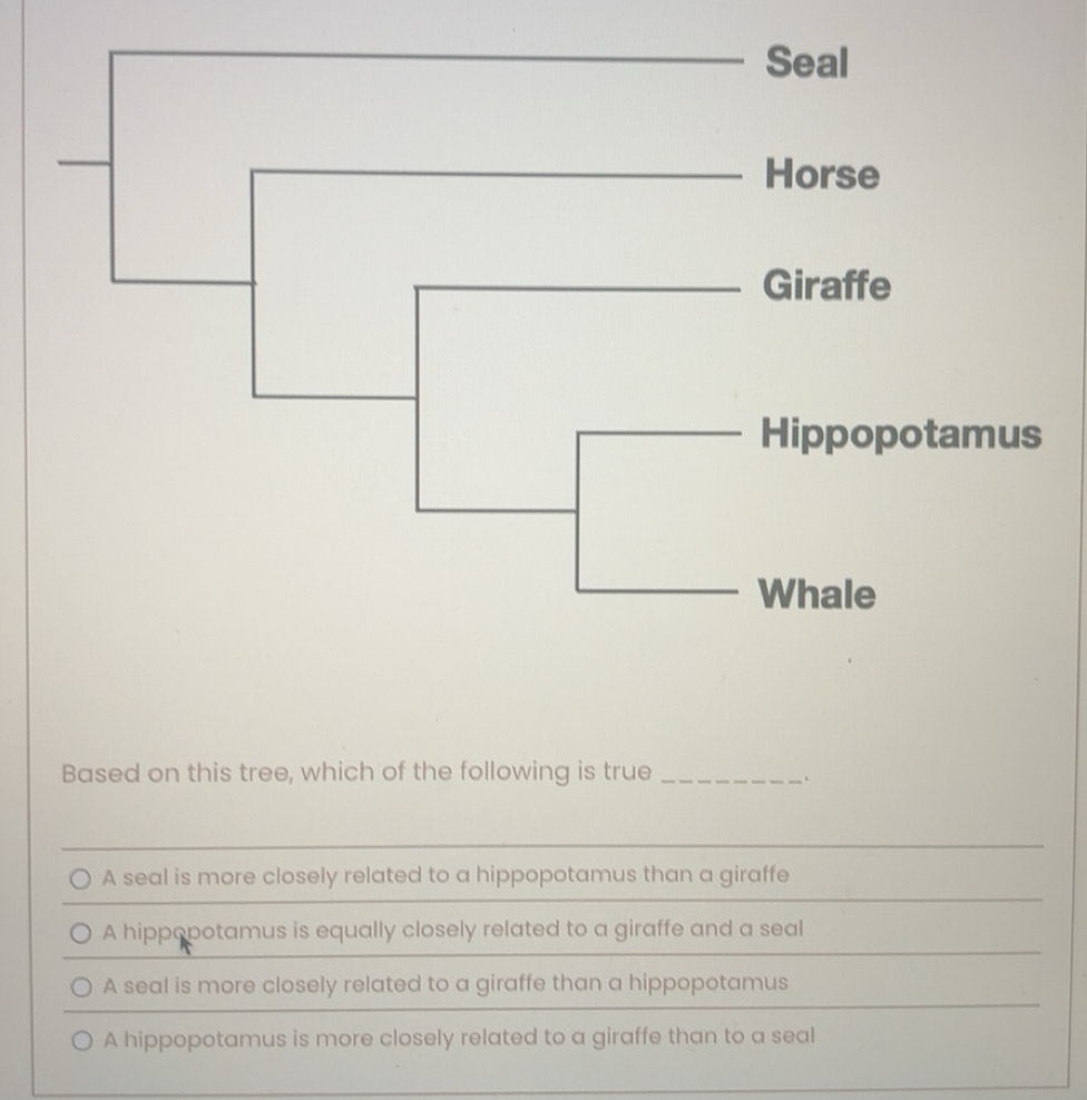 Solved: Seal Horse Giraffe Hippopotamus Whale Based on this tree, which ...