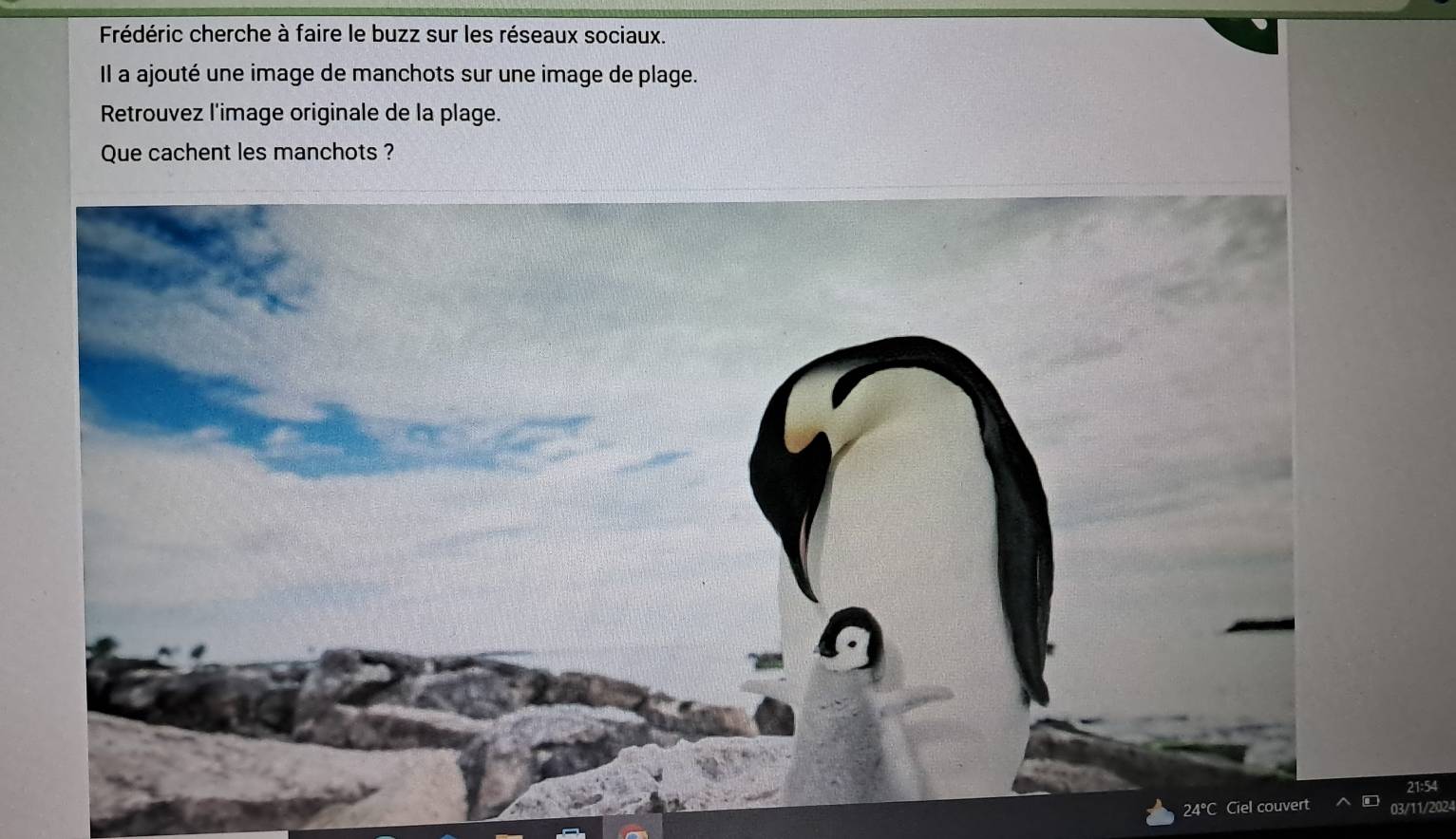 Solved: Frédéric cherche à faire le buzz sur les réseaux sociaux. Il a ...