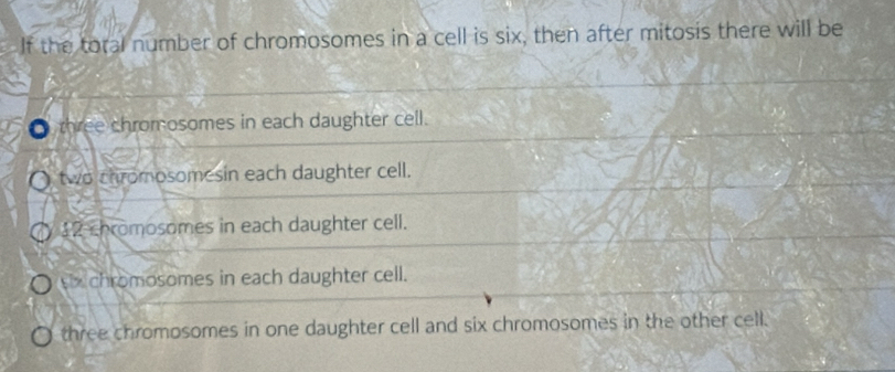 Solved: If the toral number of chromosomes in a cell is six, then after ...