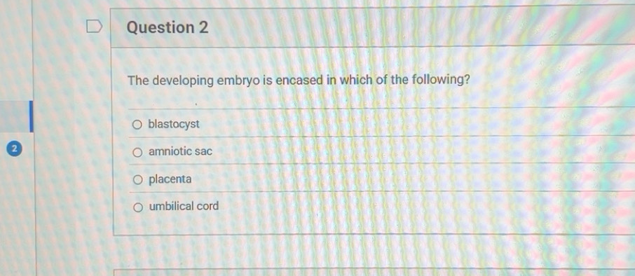Solved: The developing embryo is encased in which of the following ...