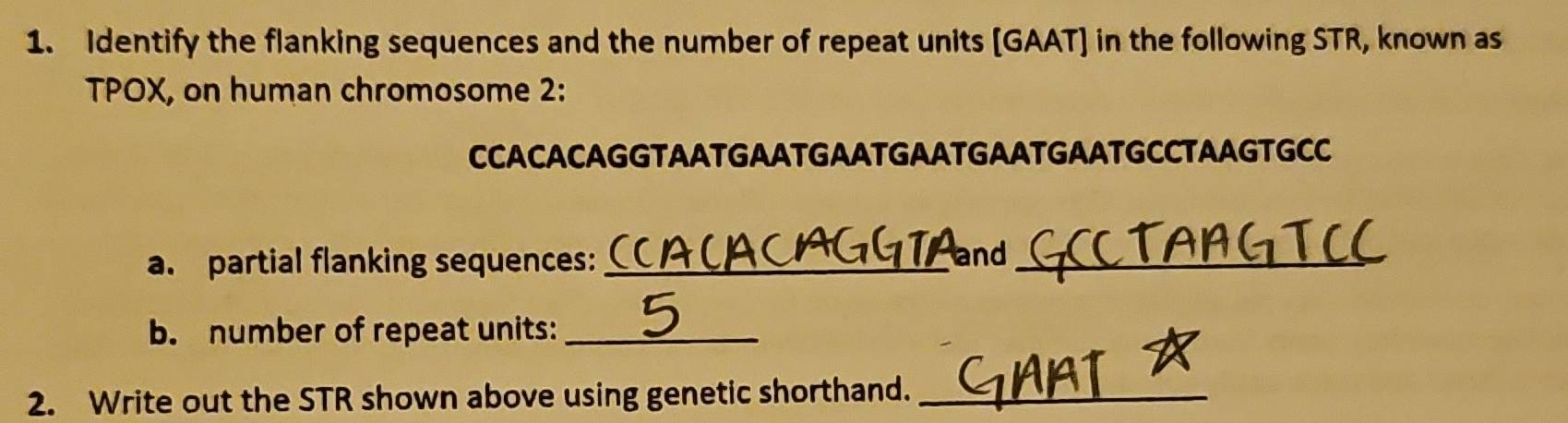 Solved: Identify the flanking sequences and the number of repeat units ...