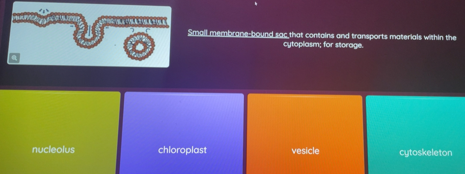 Solved: Small membrane-bound sac that contains and transports materials ...