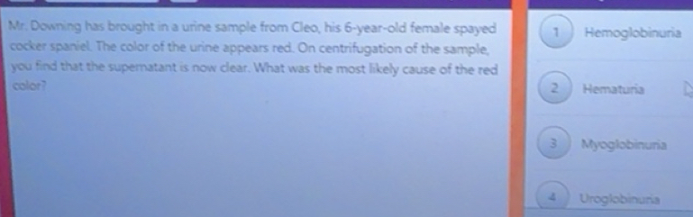 Solved: Mr. Downing has brought in a urine sample from Cleo, his 6-year ...
