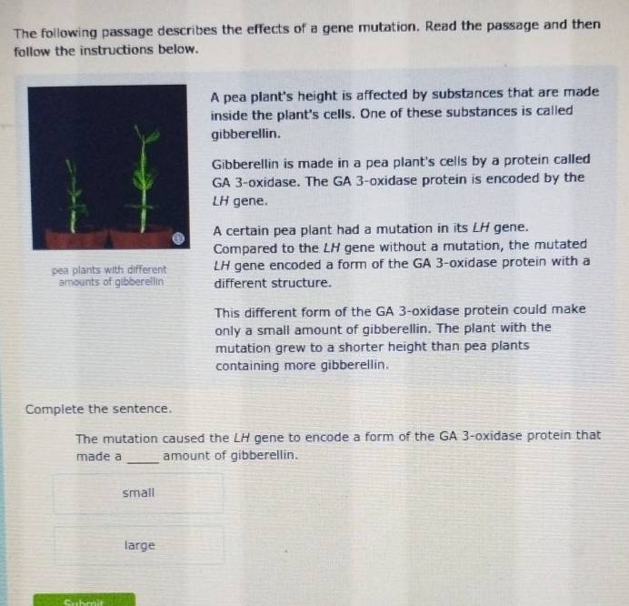 Solved: The following passage describes the effects of a gene mutation ...