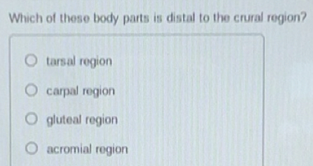 Solved: Which of these body parts is distal to the crural region ...