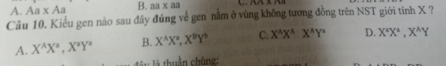 Giải quyết:A. Aa* Aa B. aa x aa C. AA x Aa Câu 10. Kiểu gen nào sau đây ...