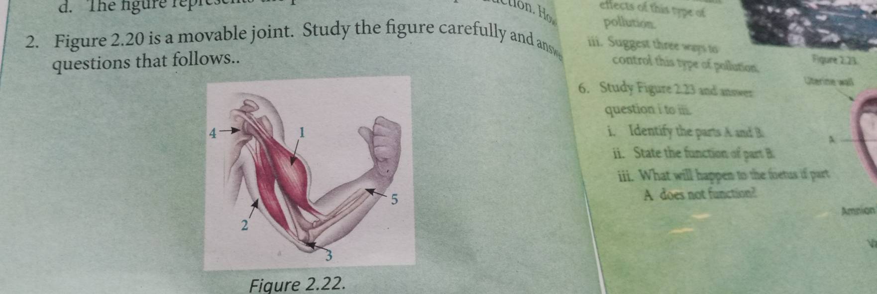 Solved: The lgure repre: effects of this type of Con. Ho pollution. 2 ...