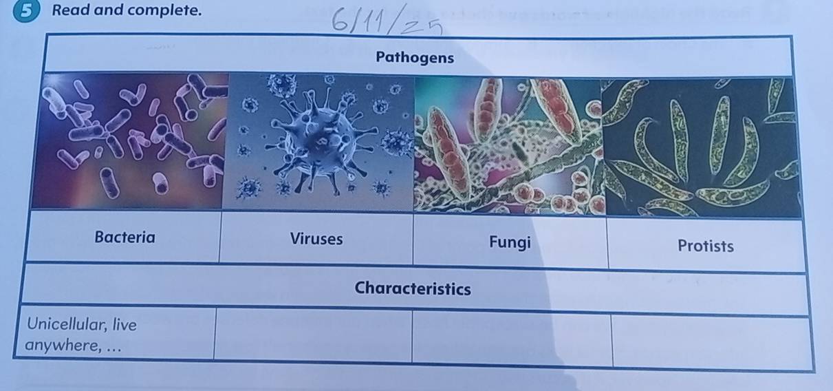 Resuelto:Read and complete. Pathogens Bacteria Viruses Fungi Protists ...