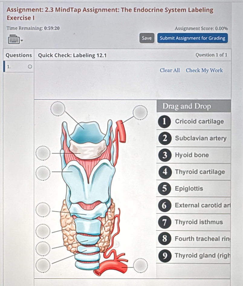 Solved: Assignment: 2.3 MindTap Assignment: The Endocrine System ...