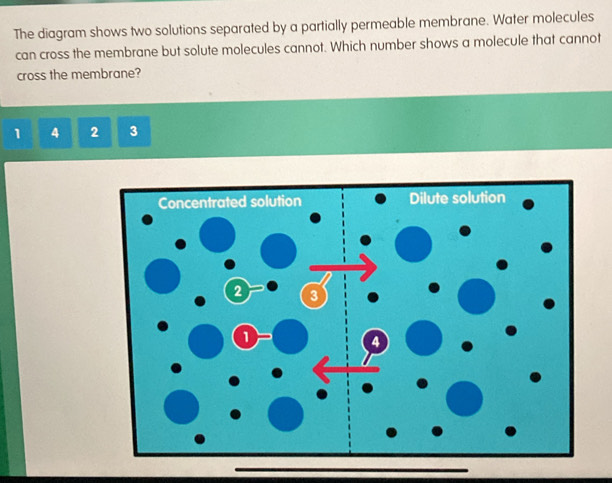 Solved: The diagram shows two solutions separated by a partially ...