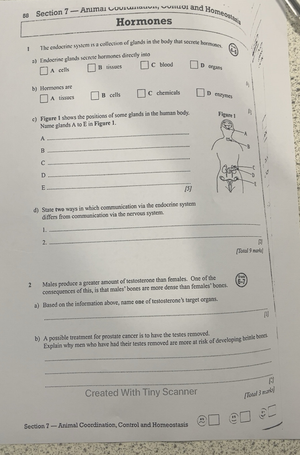 Gelöst:— Animal Cobld Contror and Homeostazin Hormones 1 The endocrine ...