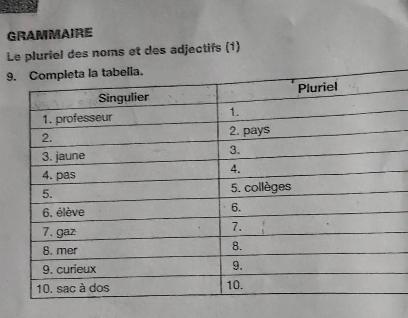 Risolto:GRAMMAIRE Le pluriel des noms et des adjectifs (1) 9