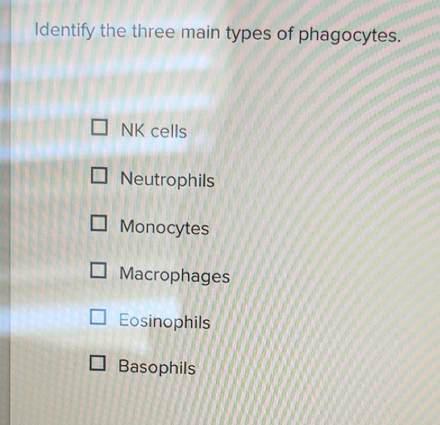 Solved: Identify the three main types of phagocytes. NK cells ...