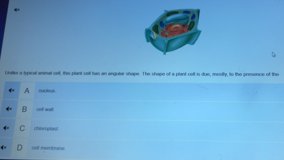 Gelöst:× Unlike a typical animal cell, this plant cell has an angular ...