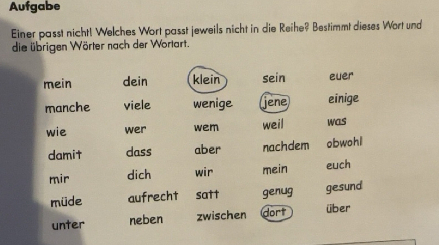 Gelöst:Aufgabe Einer passt nicht! Welches Wort passt jeweils nicht in ...