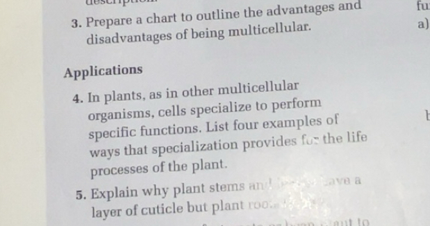 Solved: Prepare a chart to outline the advantages and fu disadvantages ...