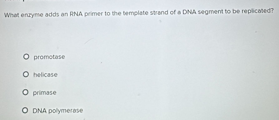 Solved: What enzyme adds an RNA primer to the template strand of a DNA ...