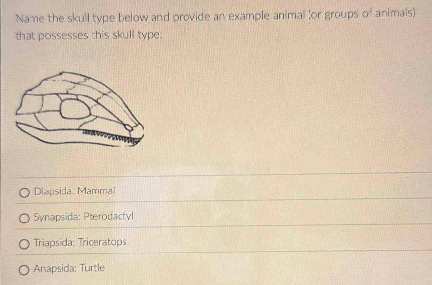 Solved: Name the skull type below and provide an example animal (or ...
