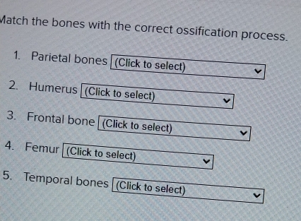 Solved: Match the bones with the correct ossification process. 1. Parietal bones [ (Click to ...