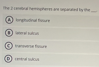 Solved: The 2 cerebral hemispheres are separated by the_ A longitudinal ...