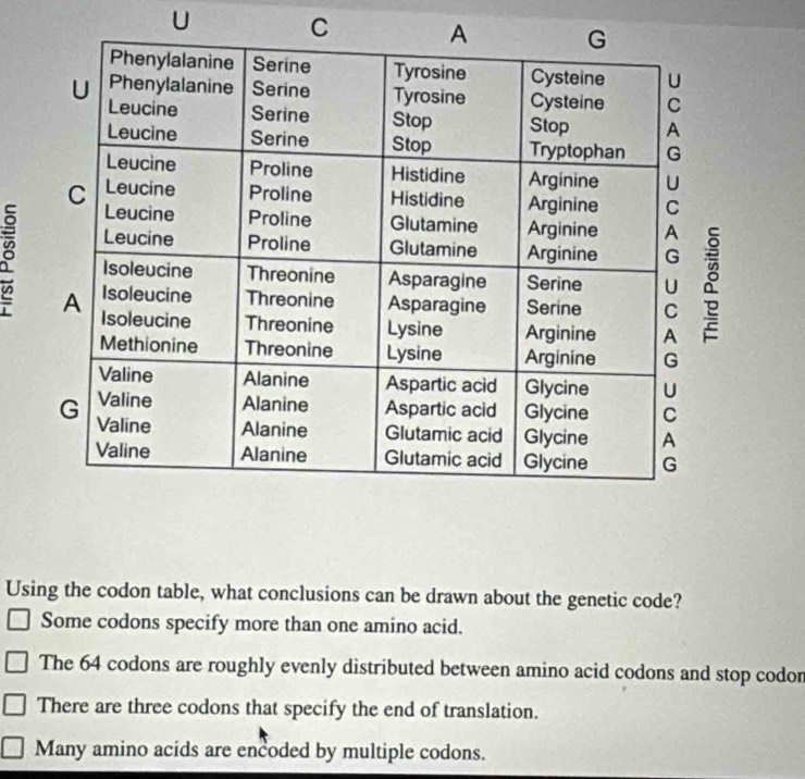 Solved: Using the codon table, what conclusions can be drawn about the ...