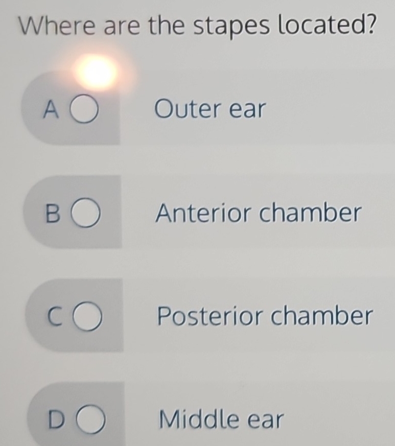 Solved: Where are the stapes located? A Outer ear B Anterior chamber C ...