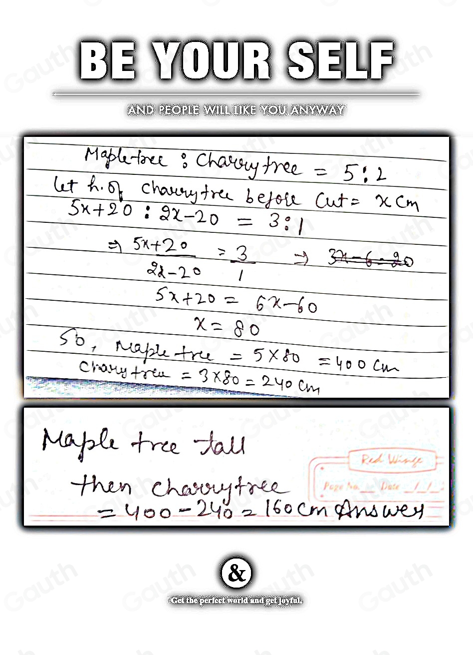 Solved: The heights of a maple tree and a cherry tree currently have a ...