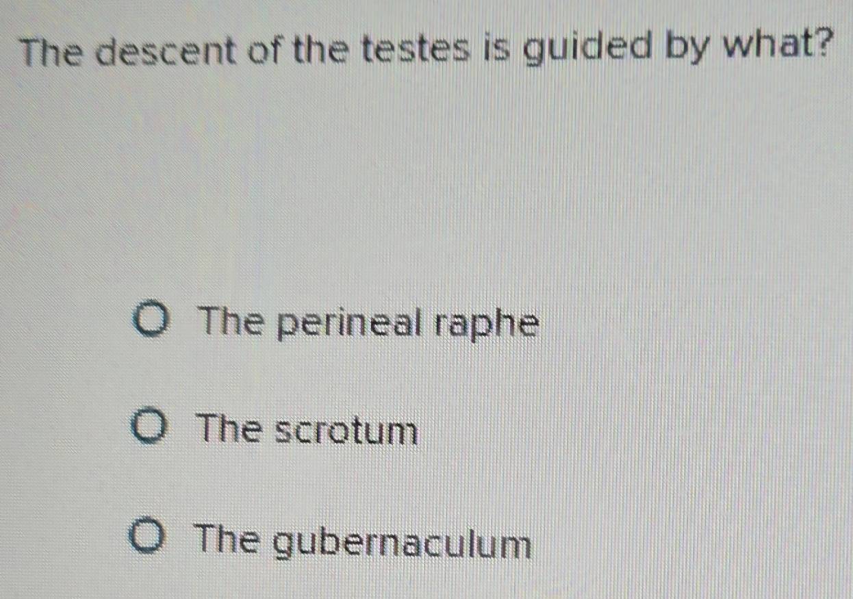 Solved: The descent of the testes is guided by what? The perineal raphe ...