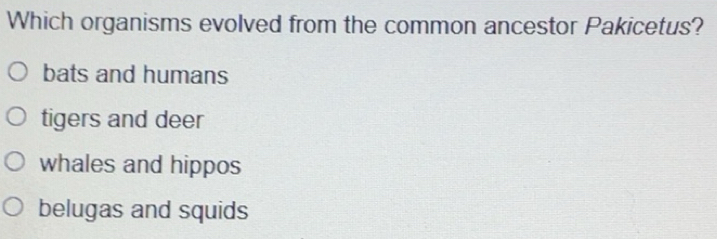 Solved: Which organisms evolved from the common ancestor Pakicetus ...