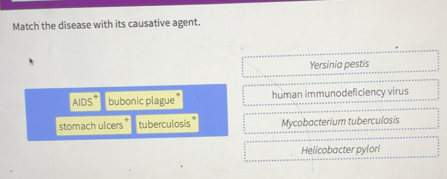 Solved: Match the disease with its causative agent. Yersinia pestis ...