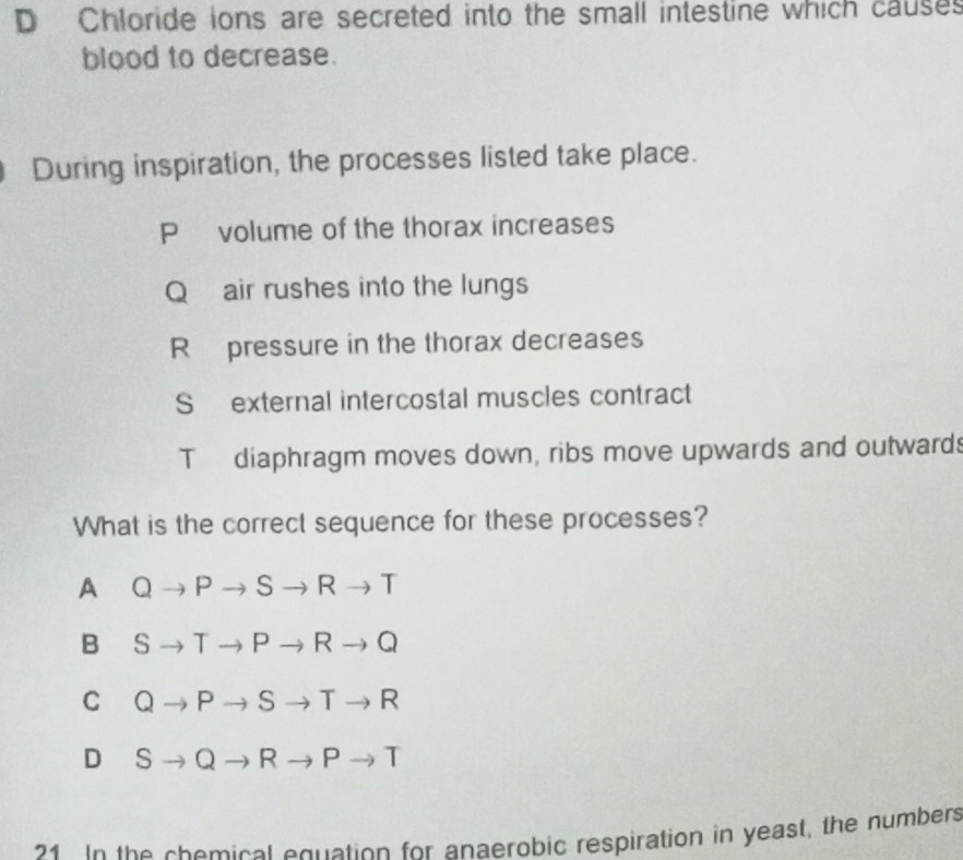 Telah dijawab:Chloride ions are secreted into the small intestine which ...