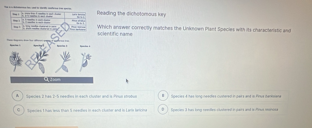 Solved: This is a dichotomous key used to i eading the dichotomous key ...