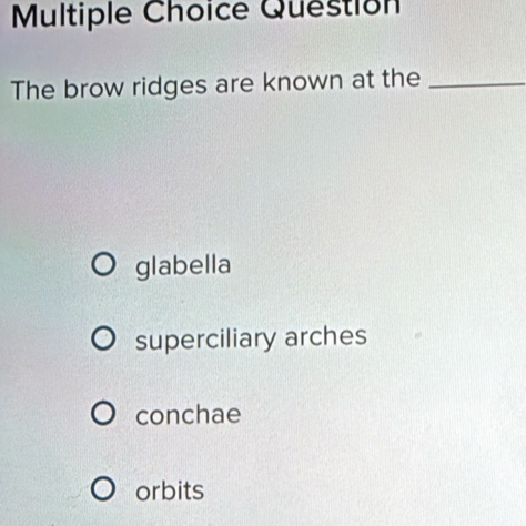 Solved: Question The brow ridges are known at the_ glabella ...