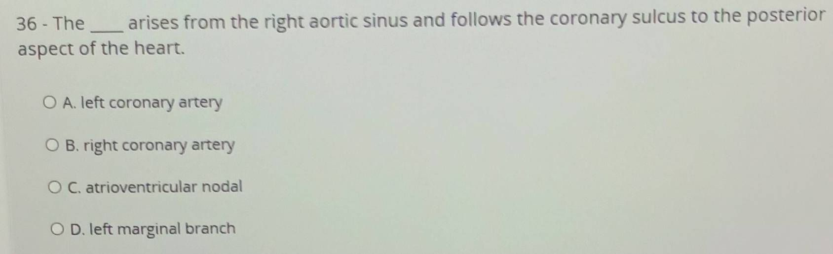 Solved: The _arises from the right aortic sinus and follows the ...