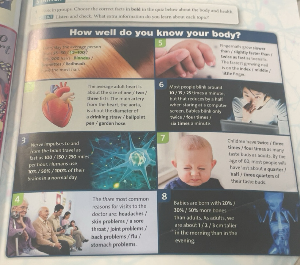 Resuelto:ork in groups. Choose the correct facts in bold in the quiz ...