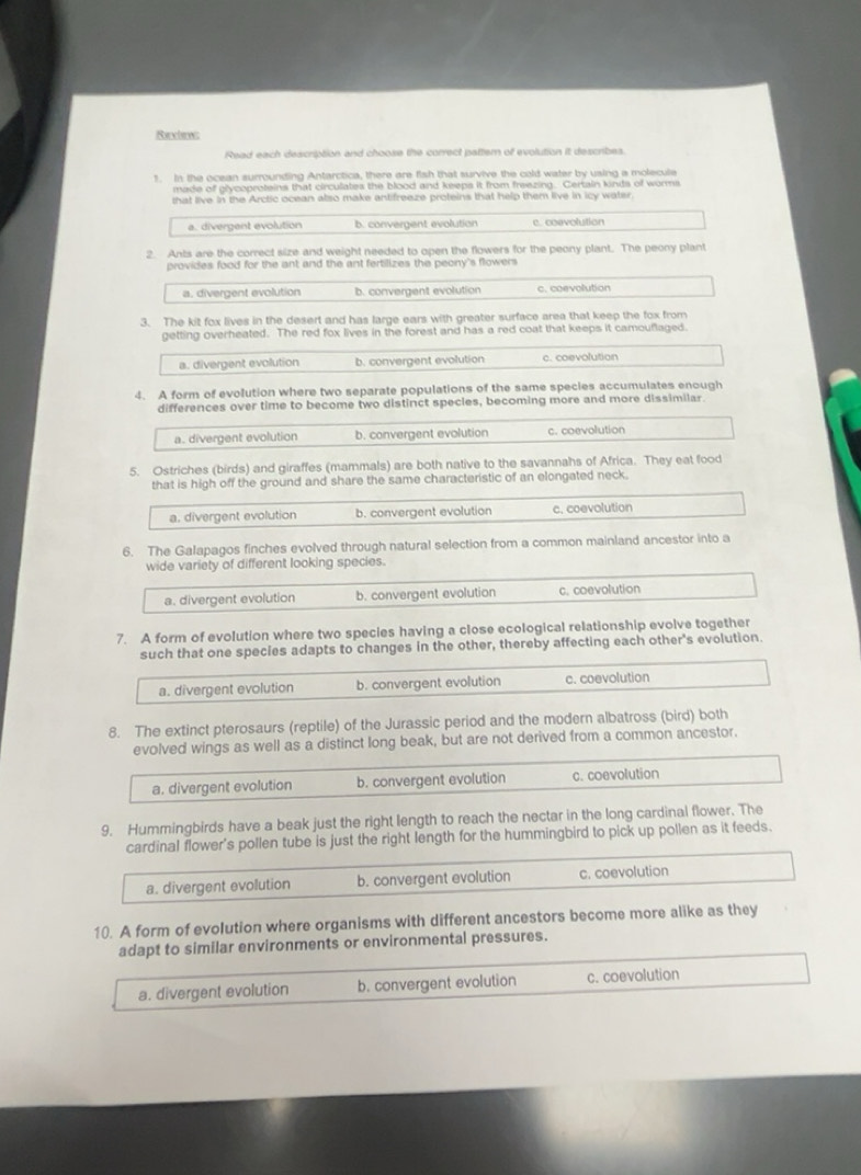 Gelöst:Review: Read each deacription and choose the correct pattern of ...