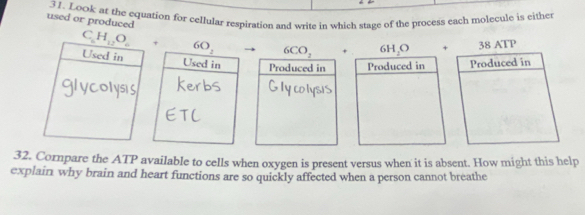 Solved: Look at the equation for cellular respiration and write in which stage of the process ...