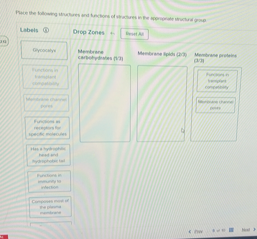 Solved: Place the following structures and functions of structures in ...