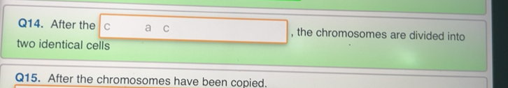 Solved: After the C C , the chromosomes are divided into two identical ...