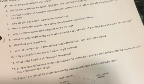 Solved: eat . Why is oxygen considered vital to life? 2. List the four ...