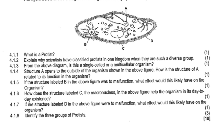 Solved: What is a Protist? (1) 4.1.2 Explain why scientists have ...
